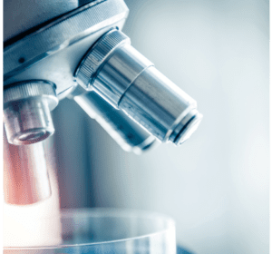 Bristol Myers Squibb and MassBio Event Poised to Catalyze Scientific ...